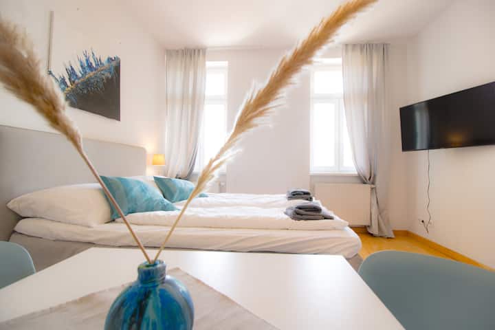 Central Luxury | Lf31 - Viena