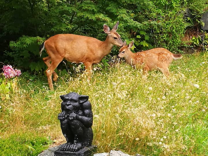 Deer Villa-fraser River Panorama Resort - Chilliwack