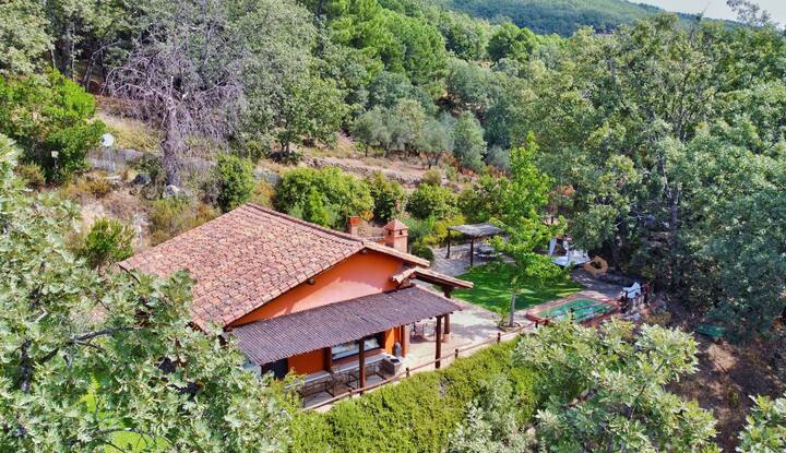 Casa De Los Olivos - Candeleda