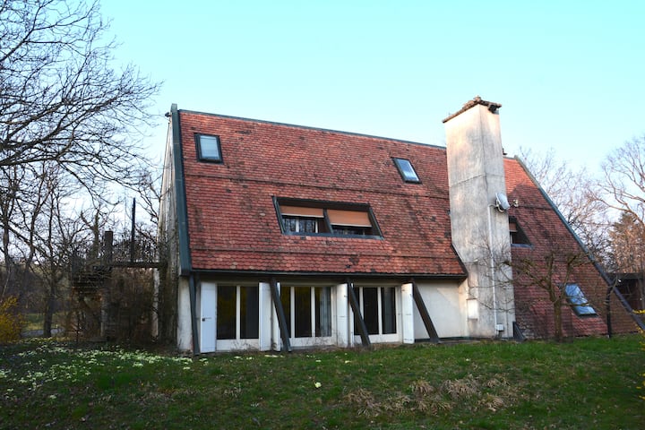 Maison, éTang, Grand Jardin, Verger, Cheminée - Morges