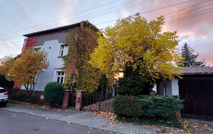Katowice Comfortable Apartament With Garden - 카토비세