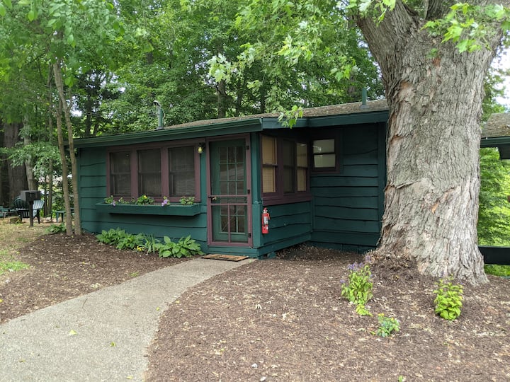 Porcupine Cabin #17 At Adirondack Lodge