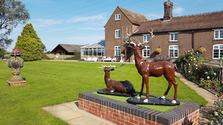 Far Coley Farmhouse With Kilnhurst Lodge Log Cabin - Stafford (UK)