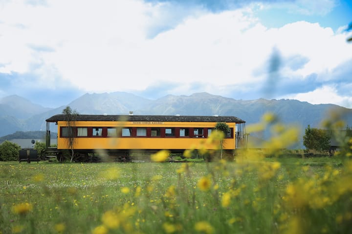 Fiordland Carriage - Te Anau