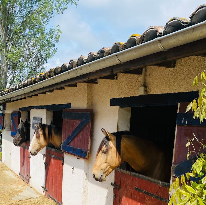Gîte éLevage De La Terrasserie - Puy-de-Dôme