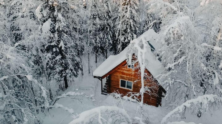 Borealis Birch Cabin. Discount If Stay Min 7 Days - Alaska