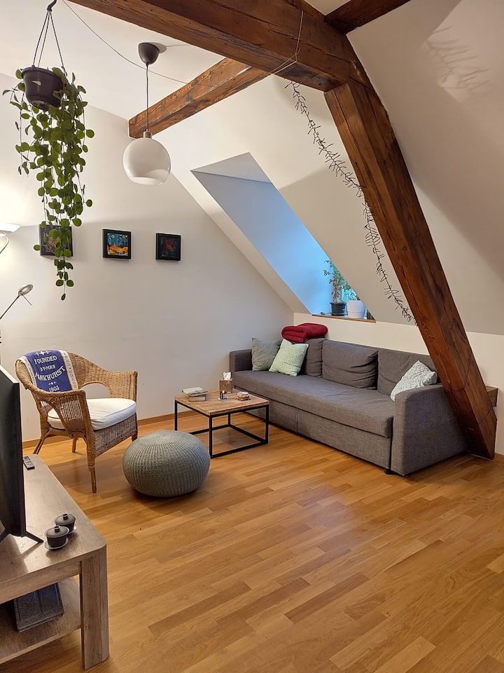 Pretty, Quiet, Central Attic Apartment - Lausanne