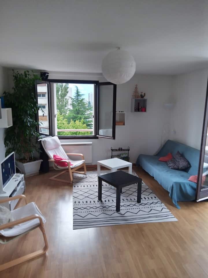 Grand T3 Lumineux Avec Terrasse - Eybens