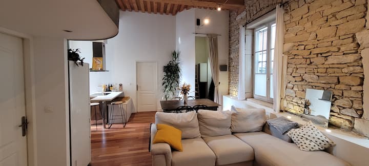 Appartement Typique Lyonnais - Lyon