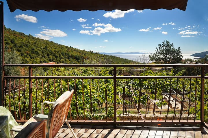 Sea And Green View Apartment For 3 -5 Persons - Rabac