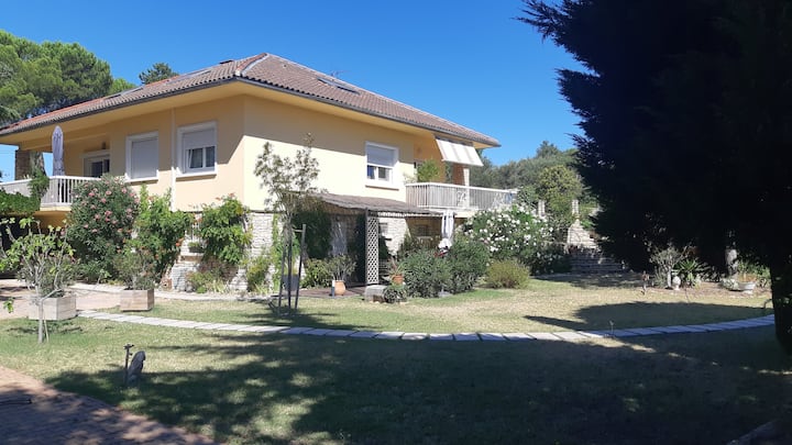 Gite Classé Touristique Belle Piscine 8kmd'avignon - Entraigues-sur-la-Sorgue