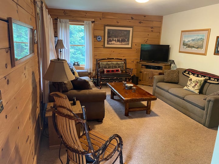 Bearfoot Cabin Minutes To Whiteface Mountain! - Wilmington, NY