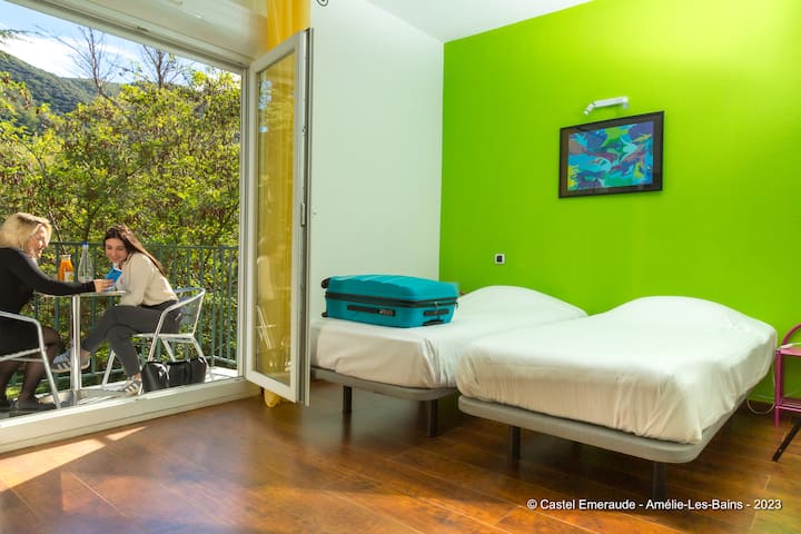 Studio Twin Vue Sur Riviere (21m2) - Arles-sur-Tech, France