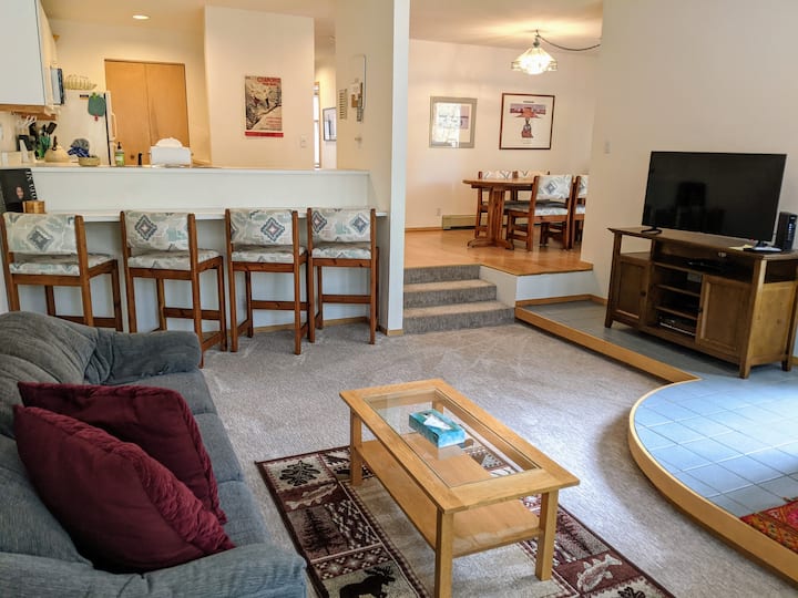 Cozy Frisco Condo - Frisco, CO