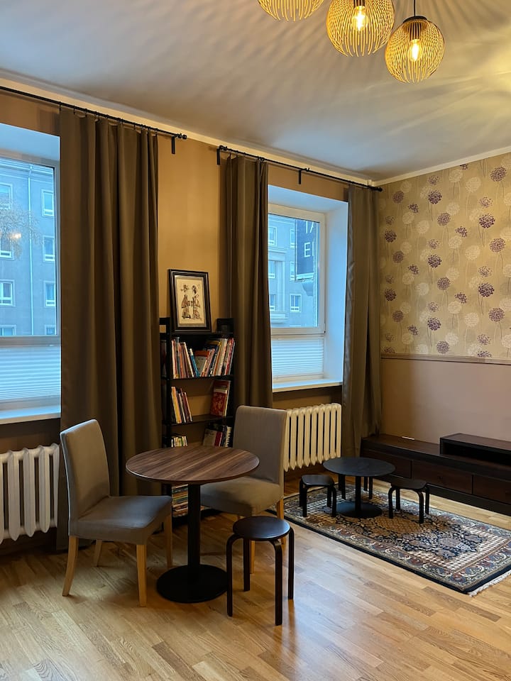 Small City Centre Apartment - Estonia