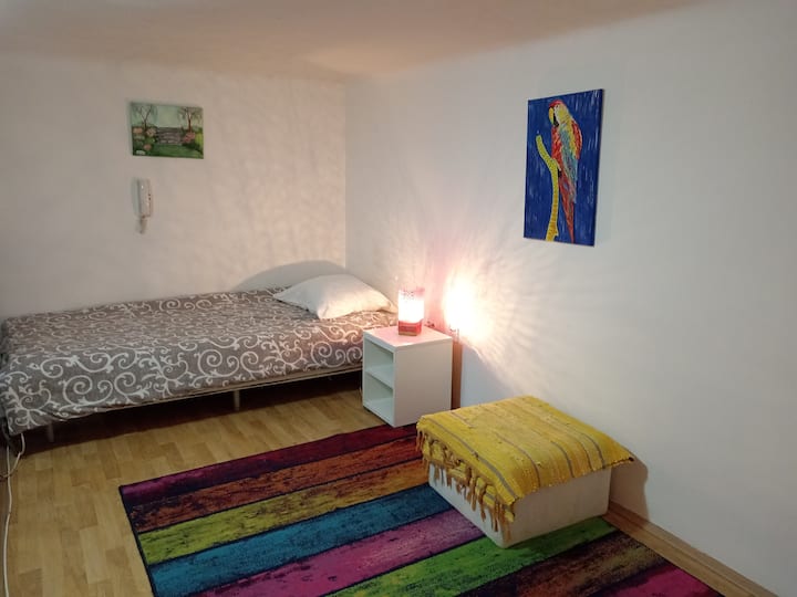 Kiwi Apartment - Belgrade