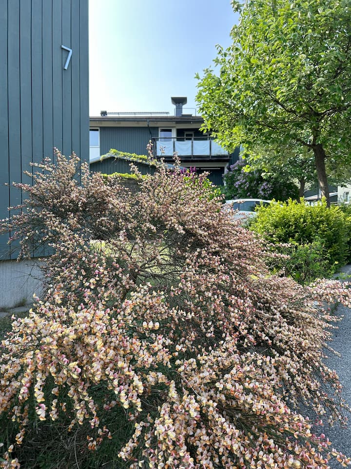 Villa Lidingö Nära Grönområden & Badplats - Stockholm