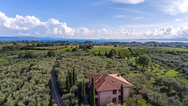 Italian Country Villa In Midst Of An Olive Grove Overlooking The Bolsena Lake - Bolsena