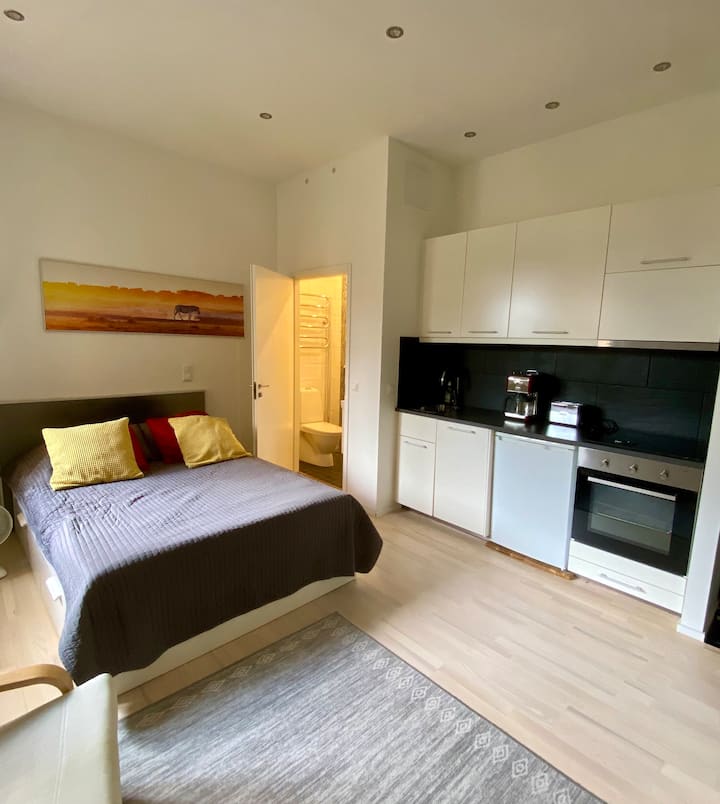 Modern Studio Central Helsinki - Helsinki