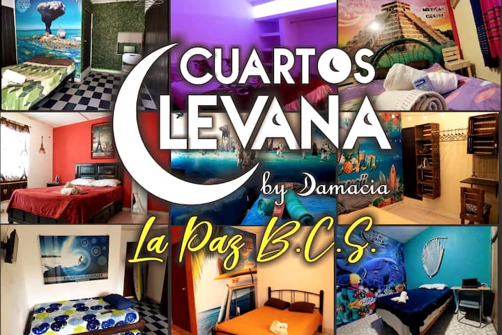 Bº1 Verde Vida A 7 Min Malecón-centro /Petfriendly - La Paz