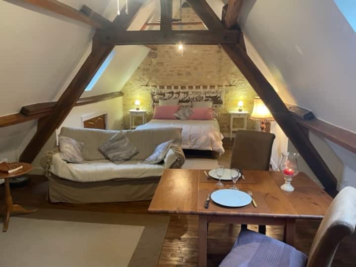 Très Grand Studio 40m2 Avec Terrasse Vue Dordogne - La Roque-Gageac