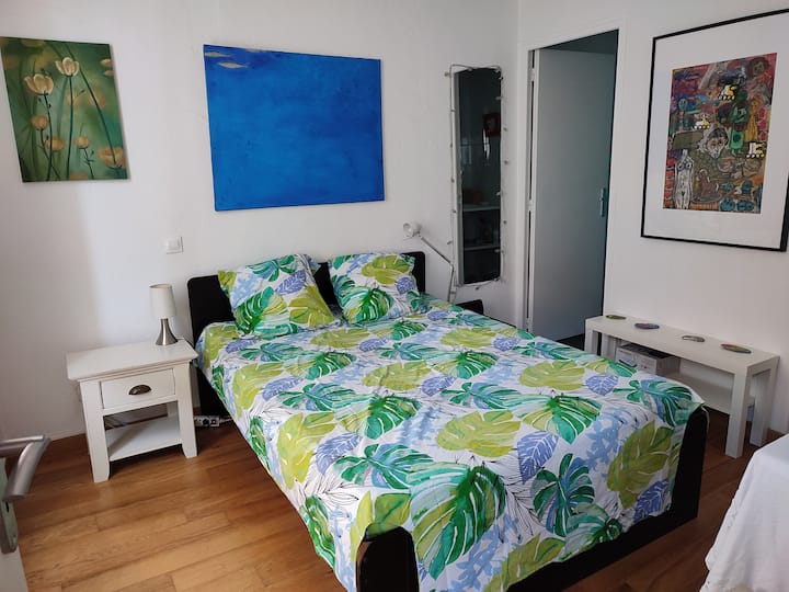 Appartement Luxueux D'artiste Au Cœur De La Ville - Port-Vendres