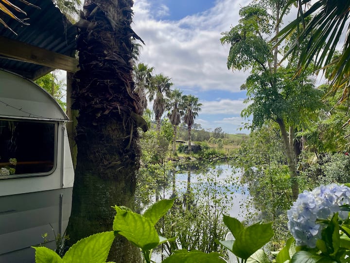 The Duck Nest - Beachside Unique Farm Stay - Ōmokoroa