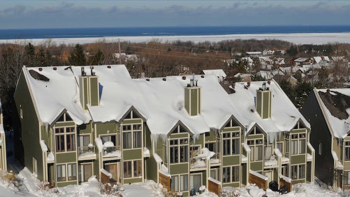 Modern Ski In/out Mountain Side Ground Floor - Collingwood