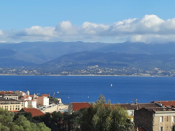 Appartement Vue Mer Tout Confort Bois Des Anglais - Ajaccio