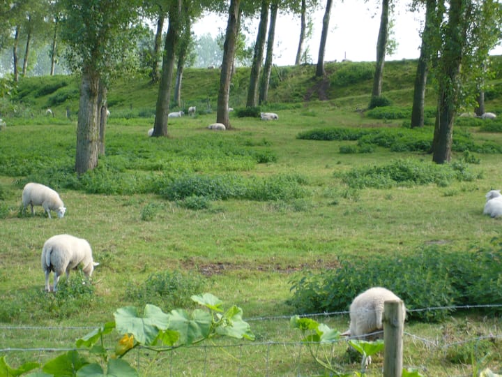 Dijkhuisje Wolphaartsdijk - Goes