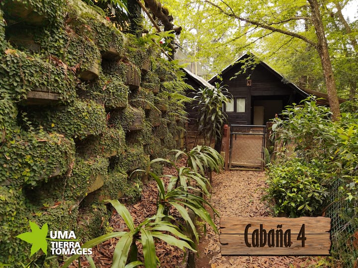Cabaña Tomages 4 Pet-friendly En Xalapa -
