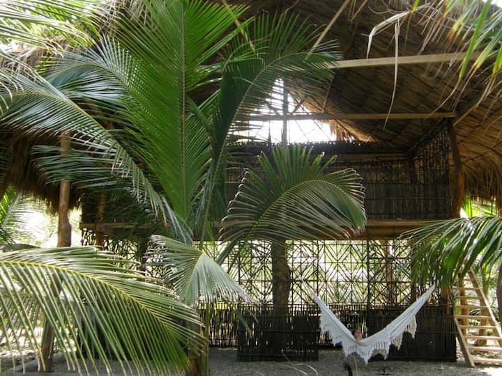 Eco-lodge In Front Of The Caribbean Sea - Puerto Escondido