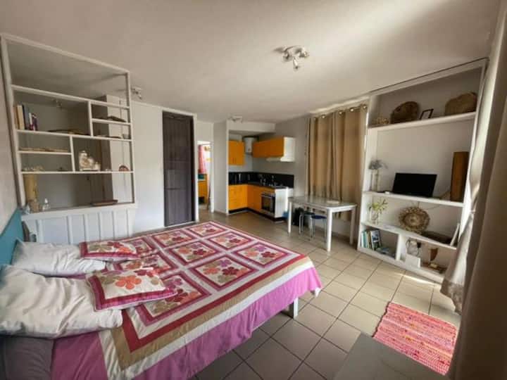 Un Estudio Dulce Y Confortable En El Centro De Papeete. - Tahiti