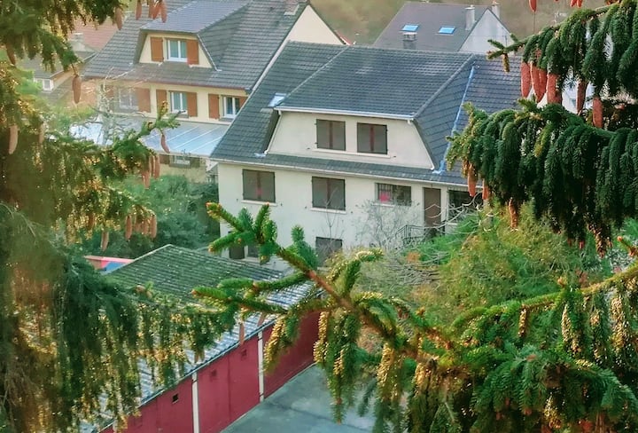 Appartement Entier Avec 2 Chambres - Massy