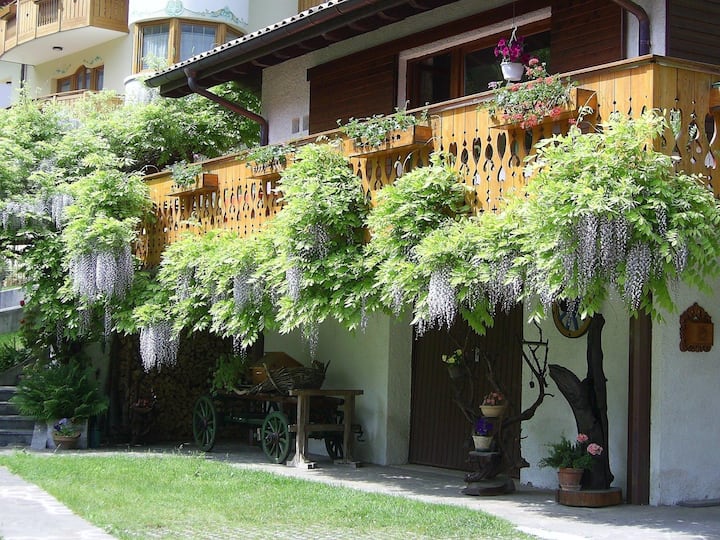 Appartamento Villa Bianca - Molveno
