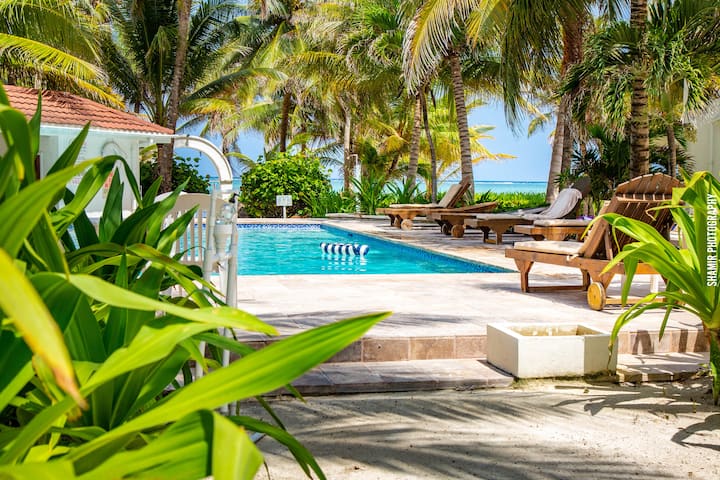 Pv 16a Palmarosa A-tropical Getaway! - ベリーズ