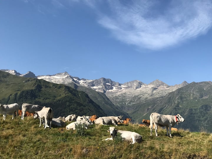 Superbagnères, La Montagne Au Calme Toute L'année - Bagnères-de-Luchon