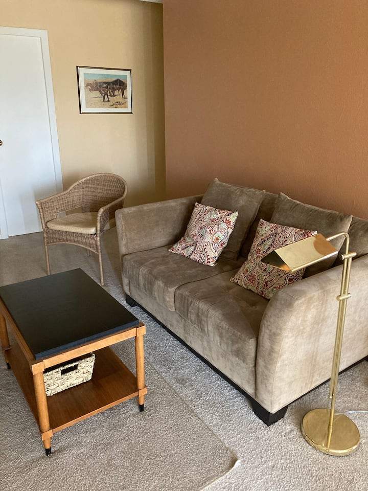 Happy Condo - Denver, CO