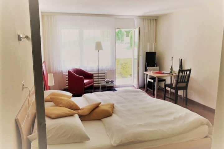 Hochplateau Mit Einzigartigem Bergpanorama  Wlan - Suisse