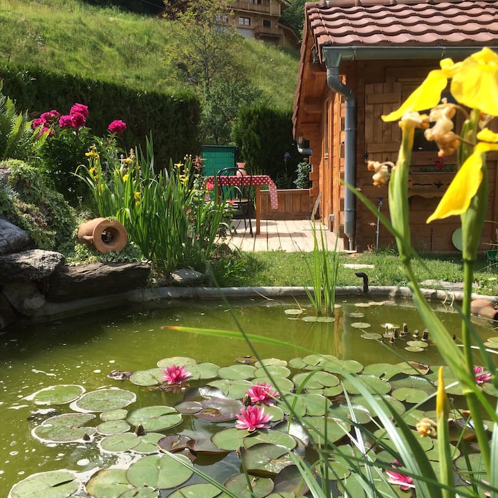 Petit Chalet  Cocooning Avec Vue Mt Blanc+ Piscine - Sallanches