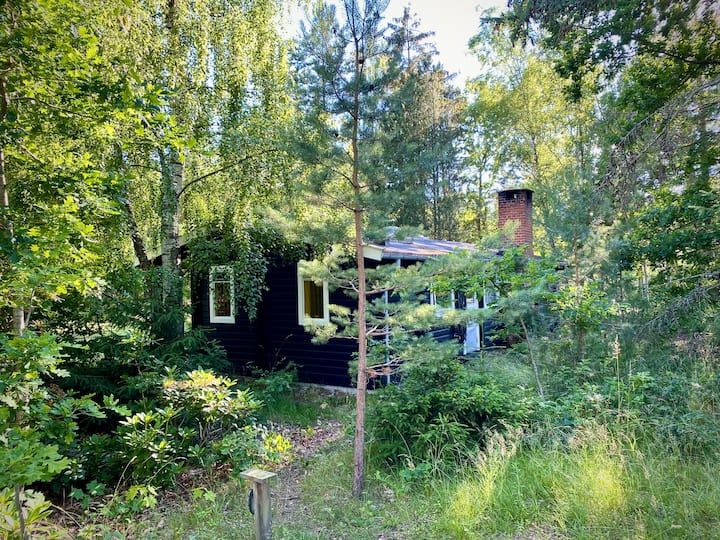 Bjælkehus I Asserbo På Stor Naturgrund - Denmark