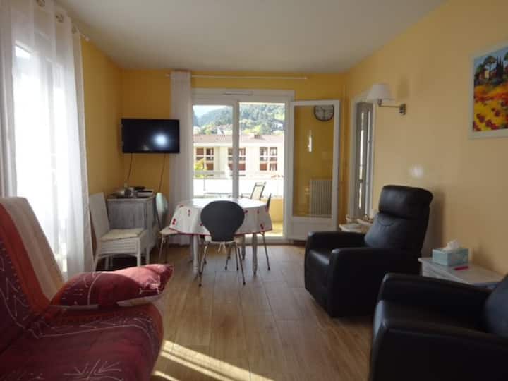 F2 De 40m², Balcon, Wifi,parking Privé,exposé Sud - Amélie-les-Bains-Palalda