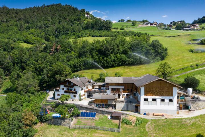 Gfinkerhof - Wohnung Mendel - Ritten