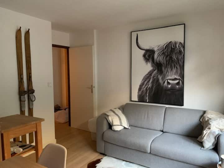 Chamonix-mont-blanc : Appartement Avec Vue - Chamonix-Mont-Blanc