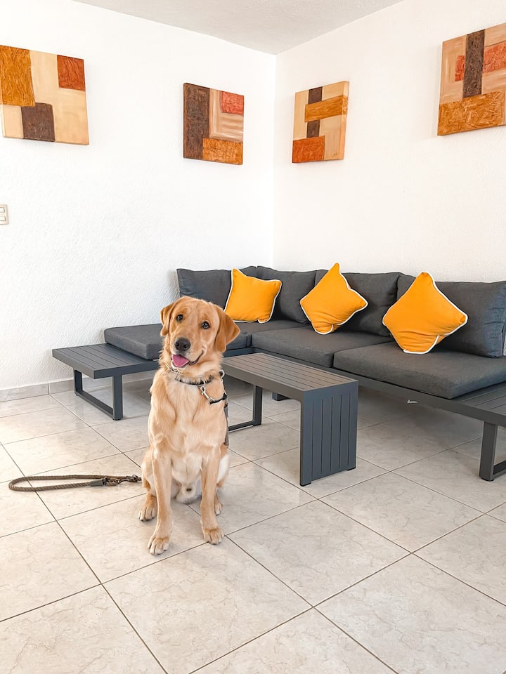 Depa Con Rooftop Privado En Diamante(pet Friendly) - 아카풀코
