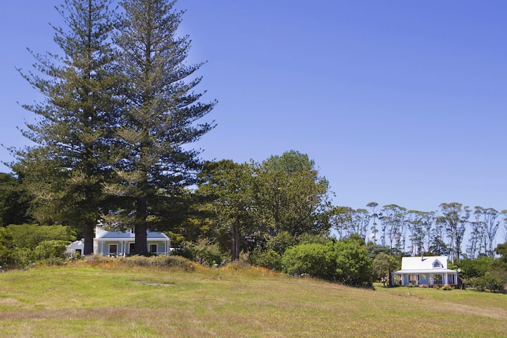 Pouto Holiday Rentals & Homes - Northland, New Zealand | Airbnb