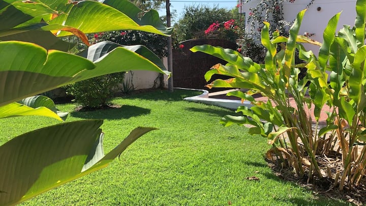 House Pet Friendly Free Close To The Beach - Bucerías