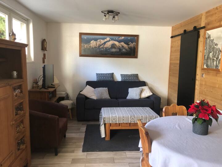 App 3p 3*au Pied Des Pistes, Accès Direct à Ski, - Verchaix
