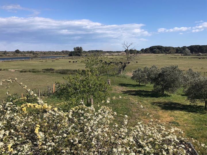 Duplex Dans Mas, Zone Protégée Proche Des Plages - Aigues-Mortes