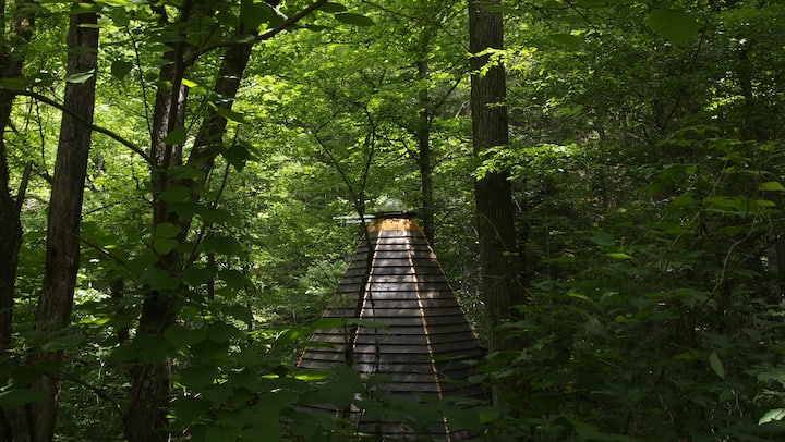 13 Spots For Glamping In And Near Gatlinburg, Tennessee - Updated 2024 ...